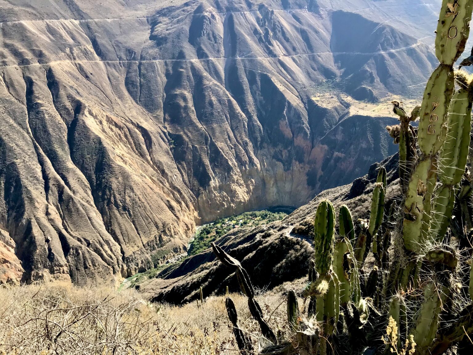 Solo Trekking the Colca Canyon: All You Need to Know + The Story of My ...